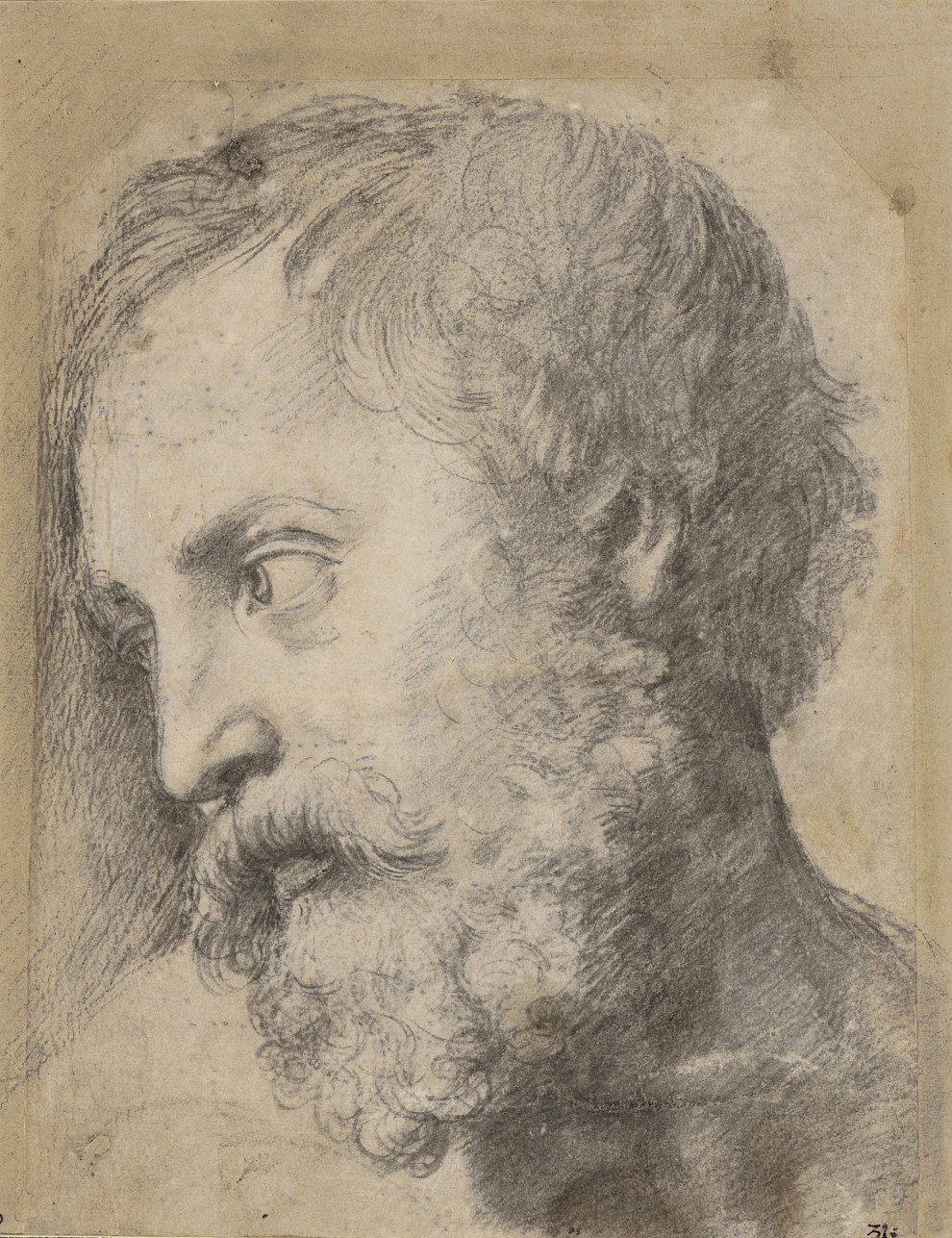 Raffael « ALBERTINA Museum Wien