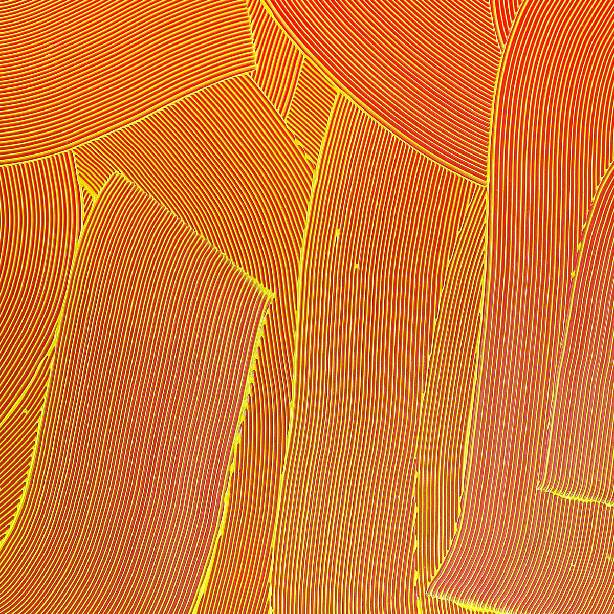 Jakob Gasteiger. Post-Radikale Malerei « ALBERTINA Museum Wien