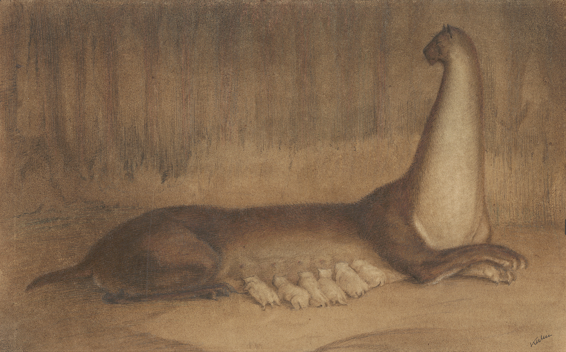 Alfred Kubin « The ALBERTINA Museum Vienna