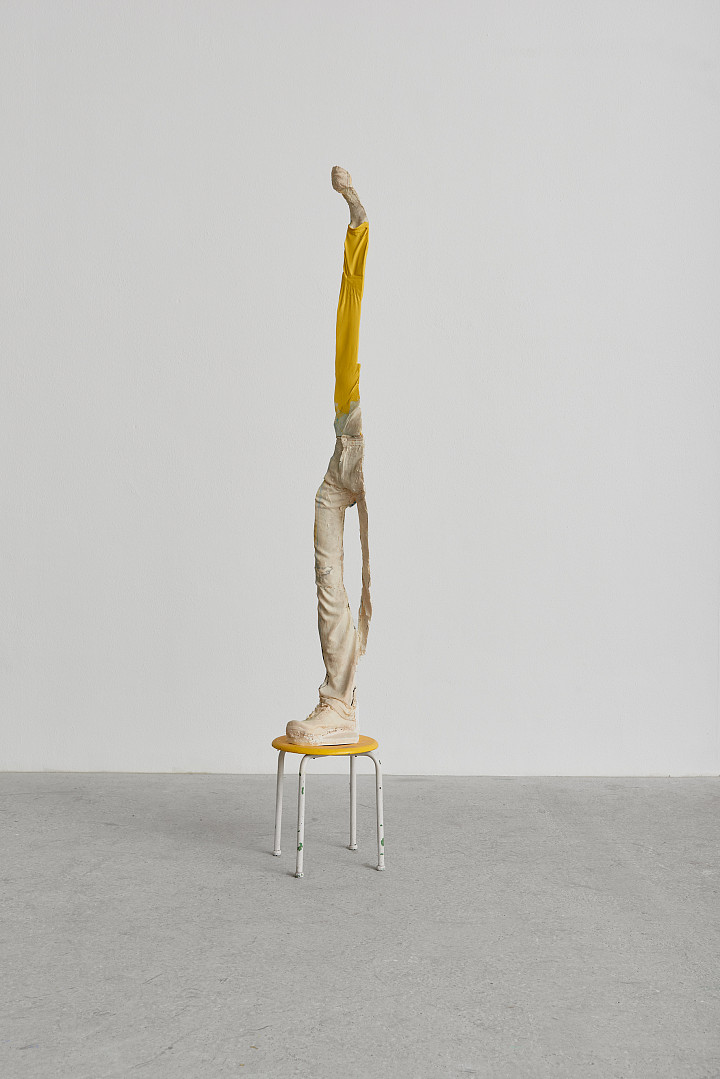 Erwin Wurm « ALBERTINA Museum Wien