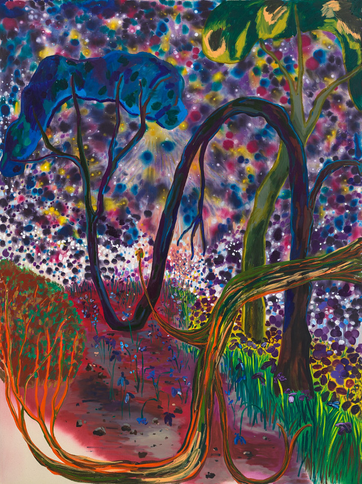 SHARA HUGHES « ALBERTINA Museum Wien