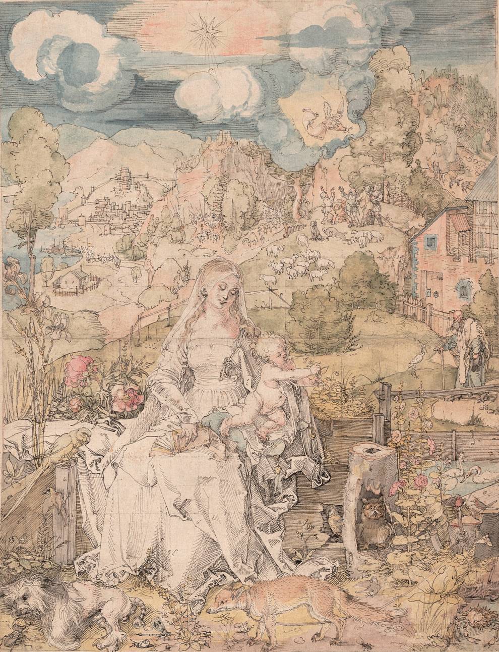 Albrecht Dürer « The ALBERTINA Museum Vienna